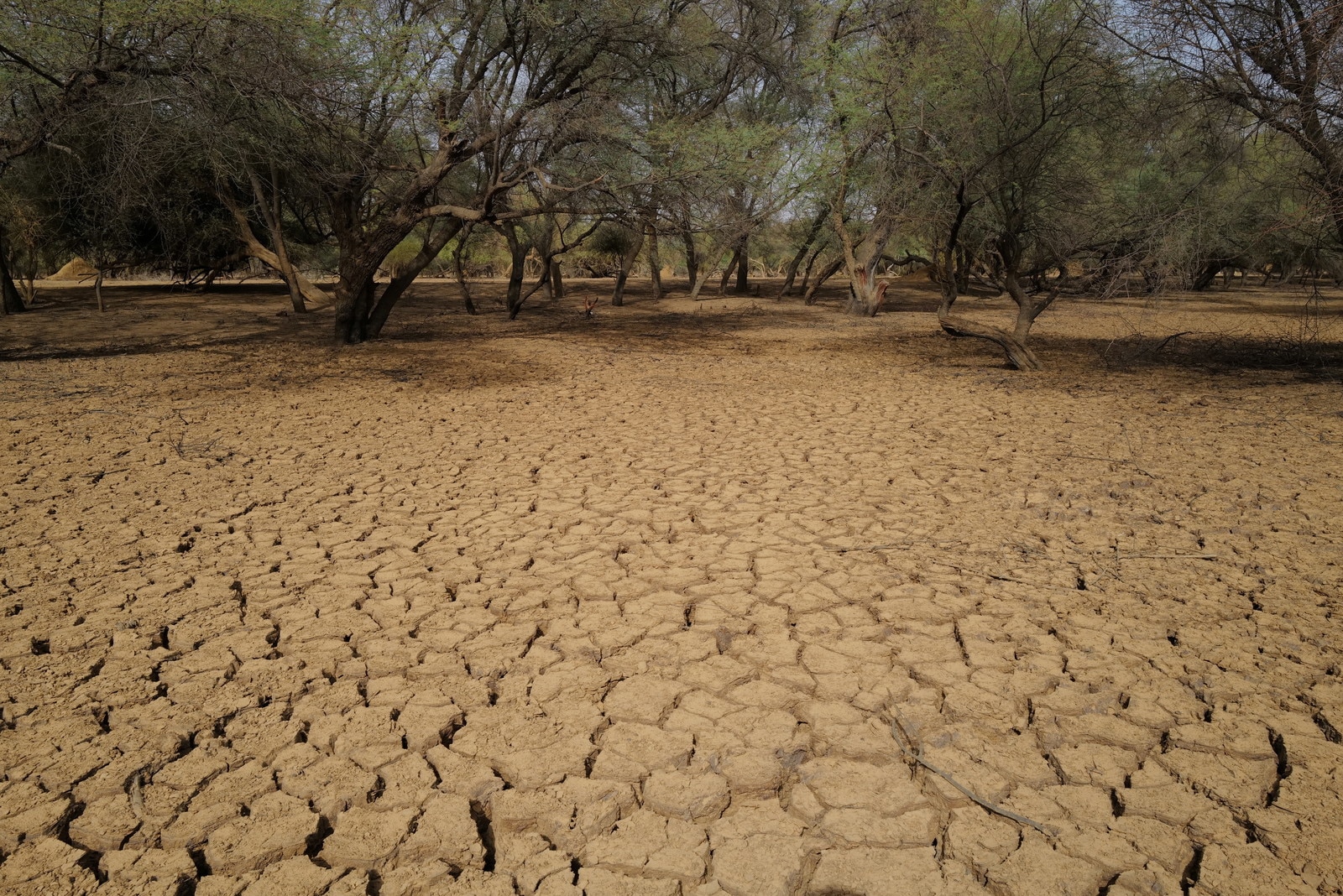 Here's how the fight against climate change is actually going | World ...