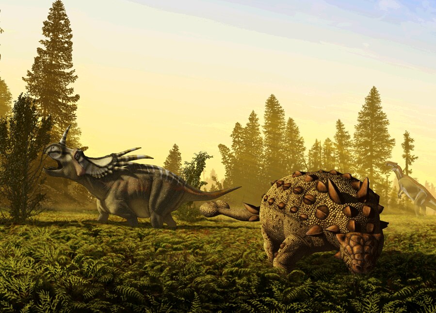How did the dinosaurs respond to climate change? | World Economic Forum