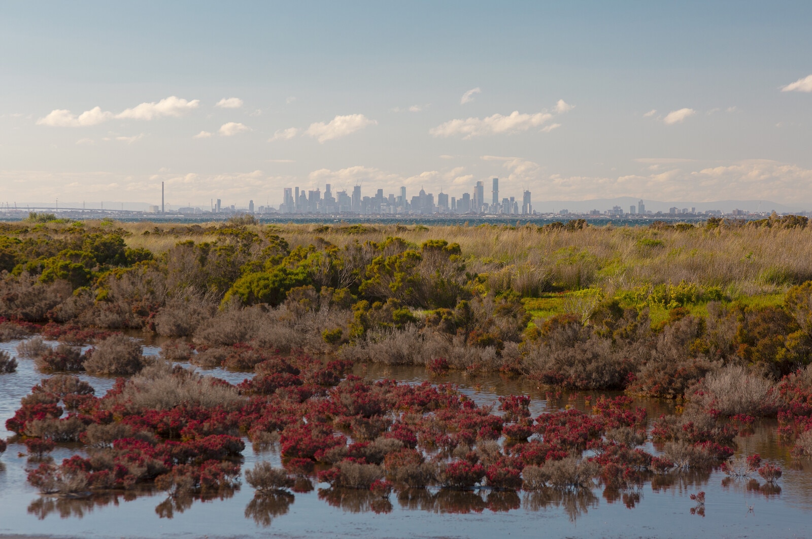 Why nature-positive cities can help transform the planet | World ...