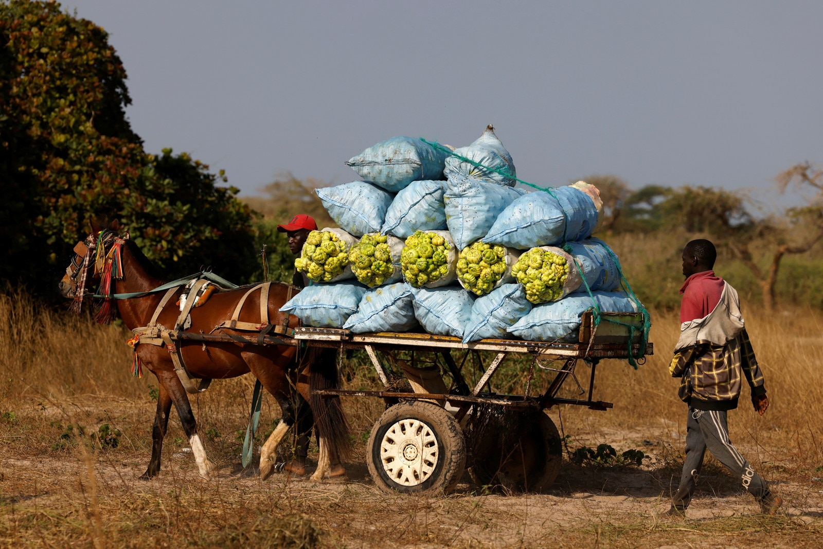 This is the state of food security in 2023 | World Economic Forum