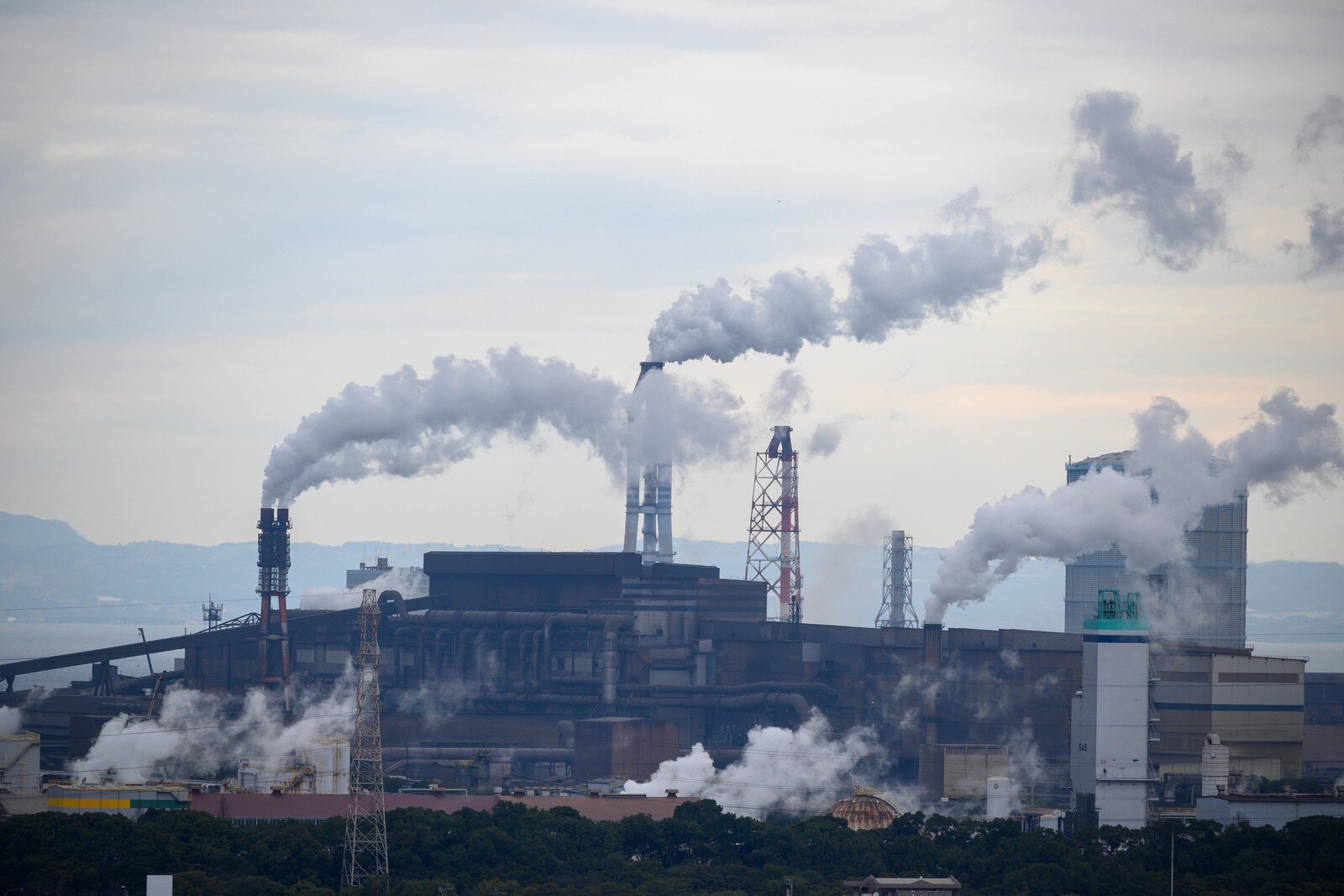 Explainer: Which countries have introduced a carbon tax? | World ...