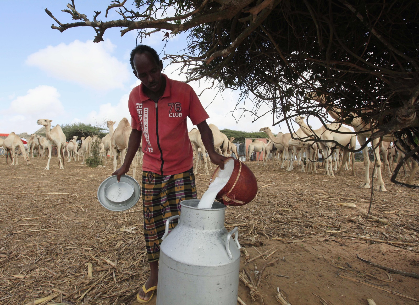 4 ways to lift Somalia out of climate-change crisis | World Economic Forum