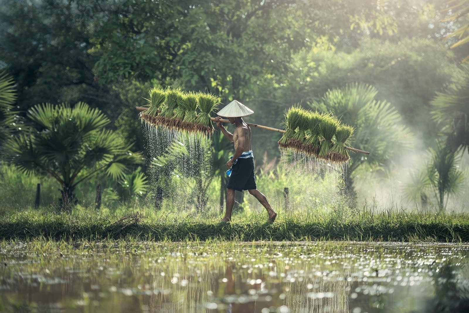 Blockchain can help us tackle climate change. Here's how | World ...