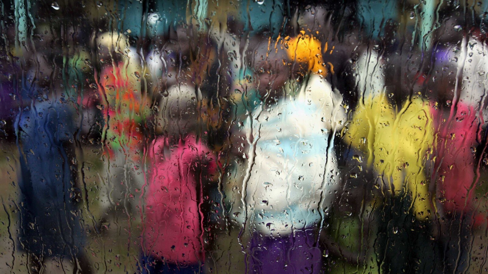 Emily Sohn - Agenda Contributor | World Economic Forum