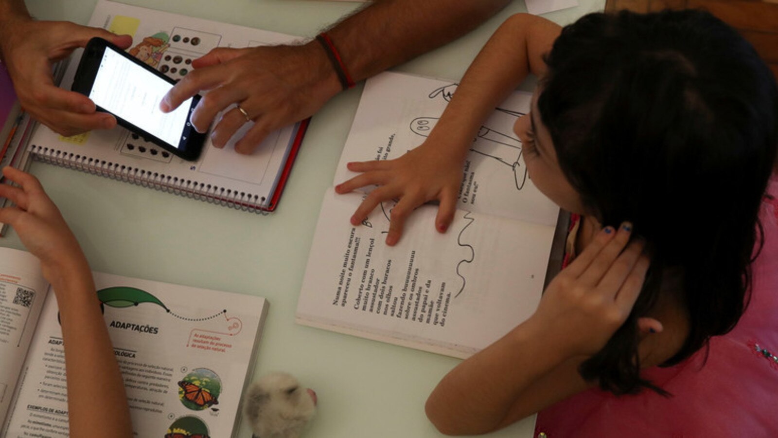 Sandy Mackenzie - Agenda Contributor | World Economic Forum