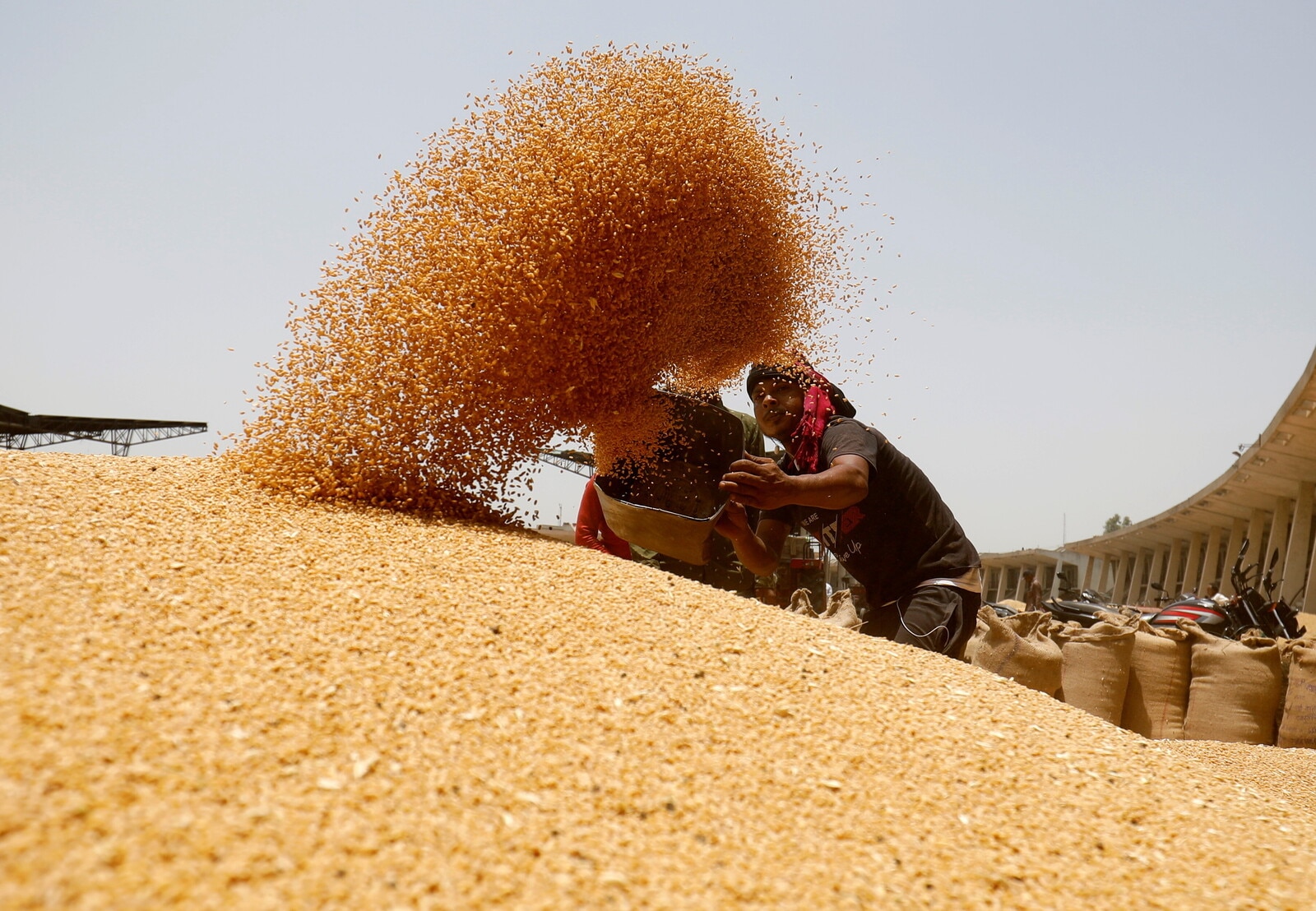 How agritech services can help farmers meet food demand | World ...