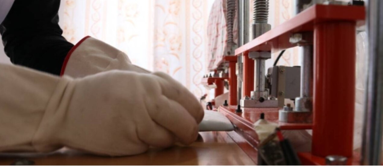 Smriti Daniel - Agenda Contributor | World Economic Forum