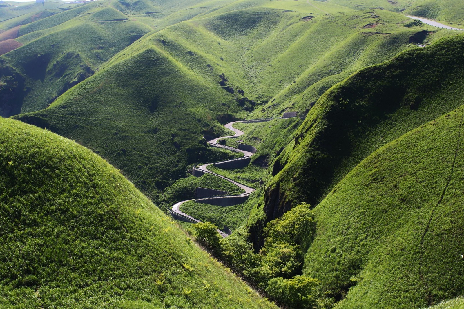 Japan is accelerating efforts towards a carbon-neutral society | World ...