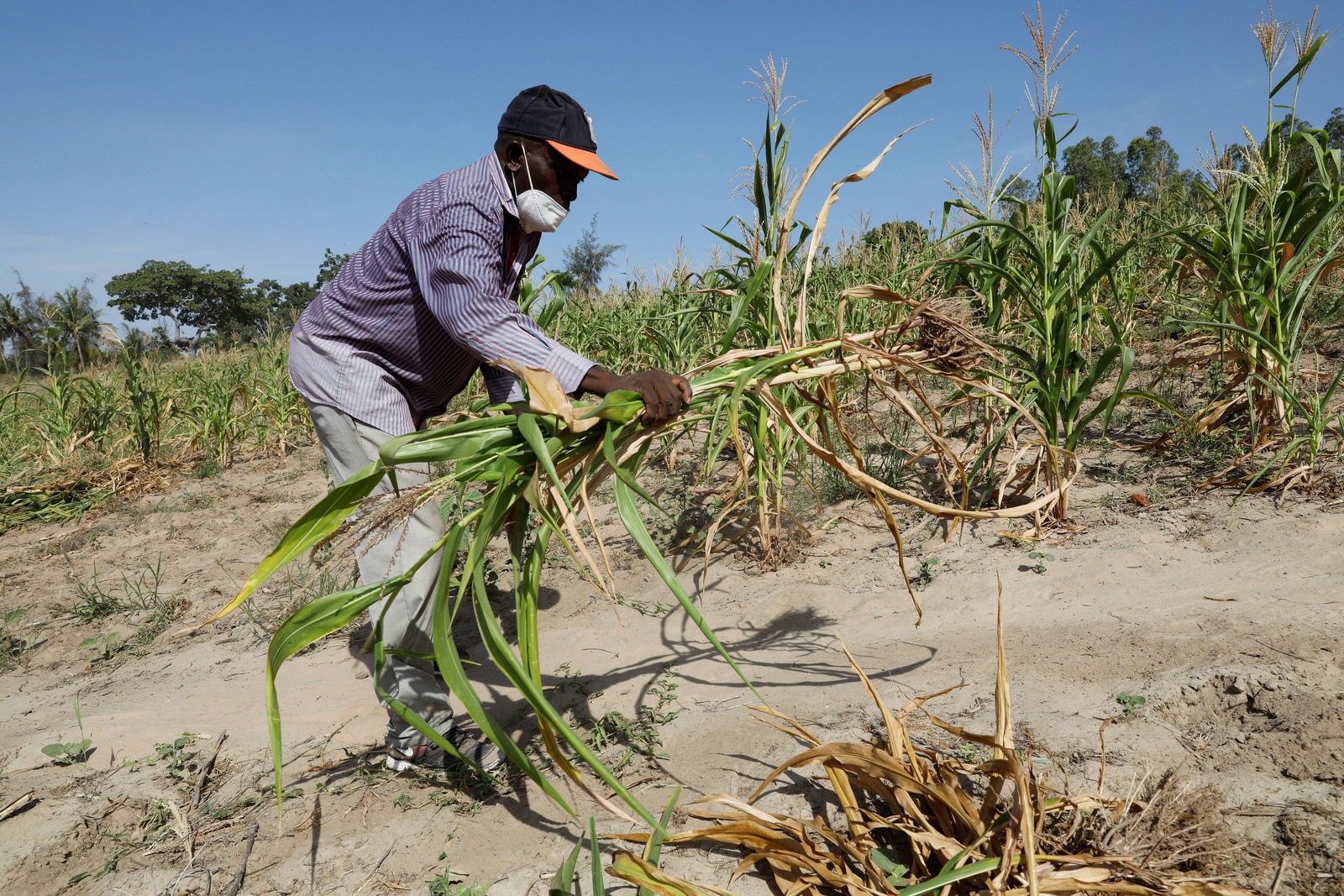 Kenyan locals inform research about living in difficult conditions ...