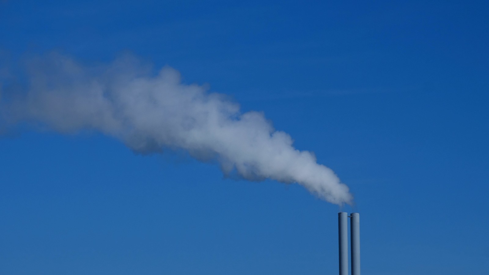 Pollution costs lives and is bad for business. Here are 5 ways ...