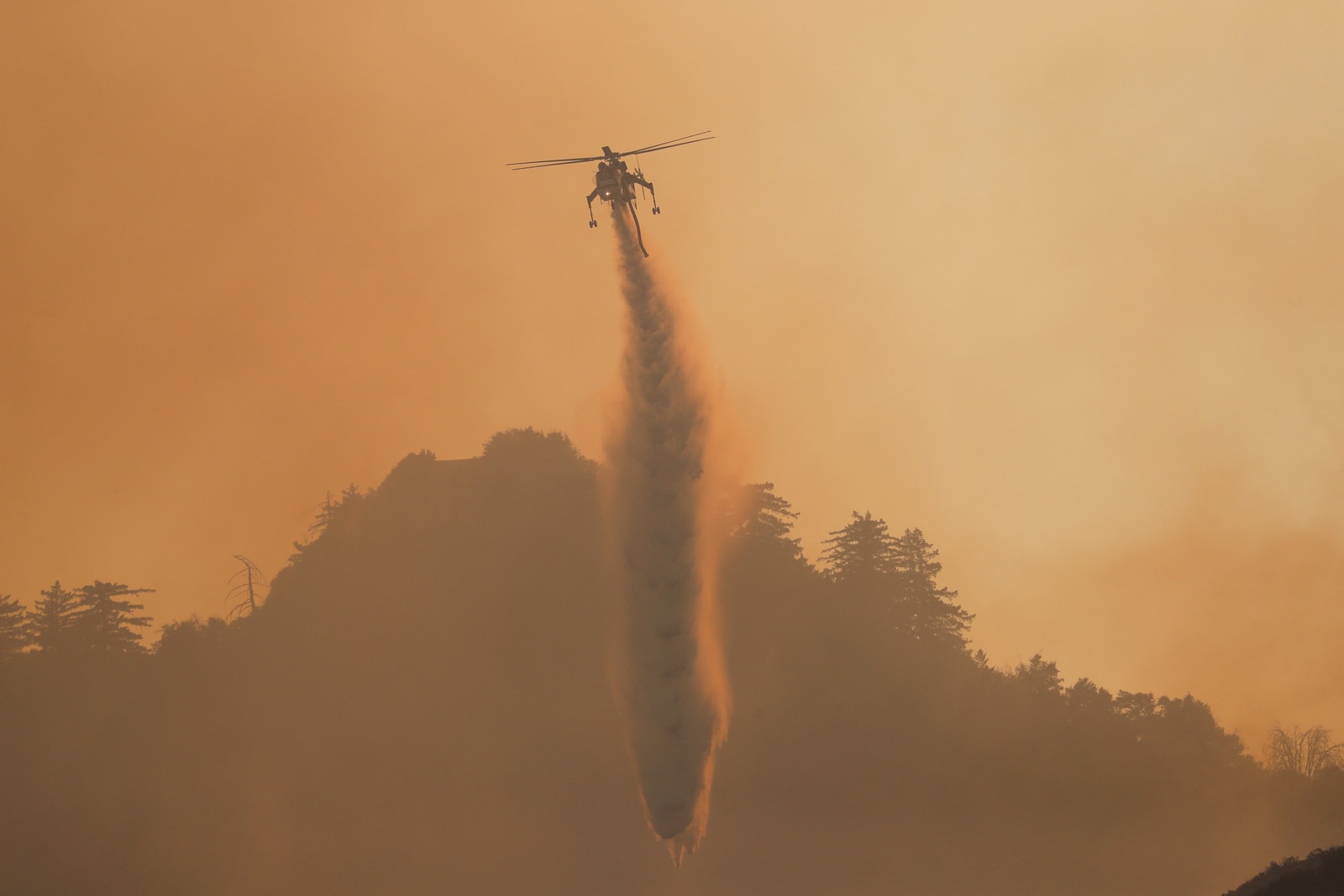 What role does climate change play in forest fires? | World Economic Forum