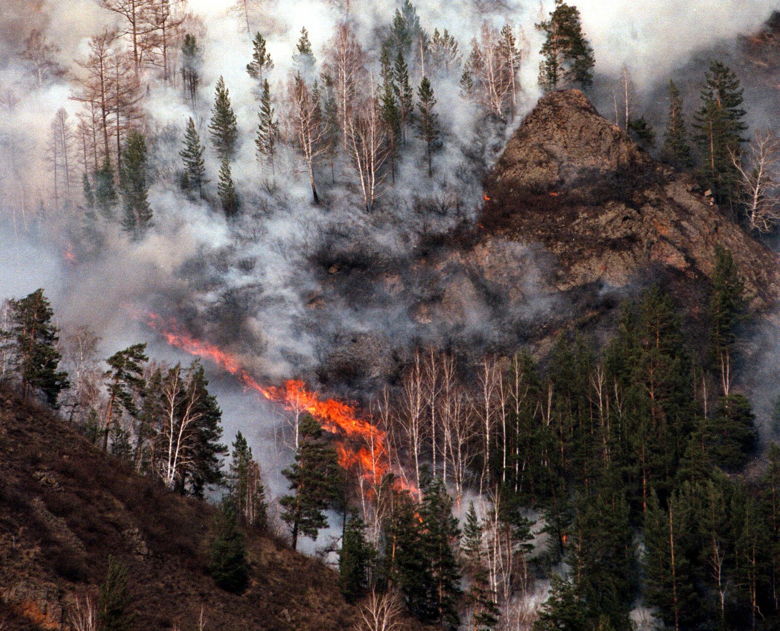 Siberian heatwave and forest fire more likely due to climate change ...