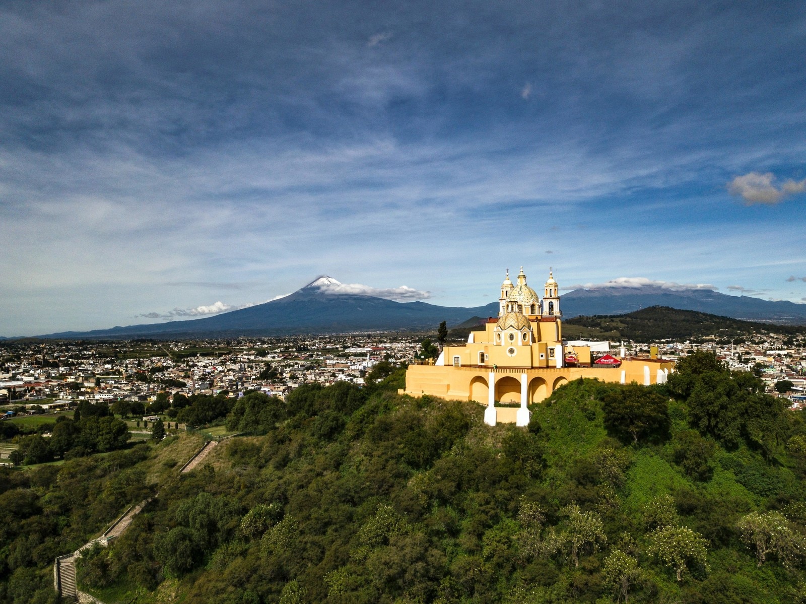 Investment in reforestation is critical for Mexico's forests | World ...
