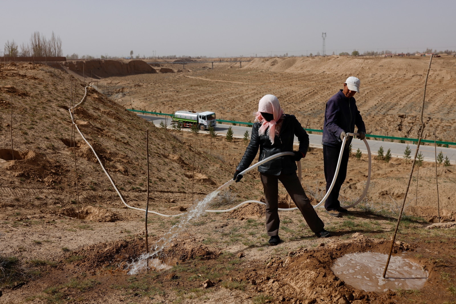 How can land restoration help fight climate change? | World Economic Forum