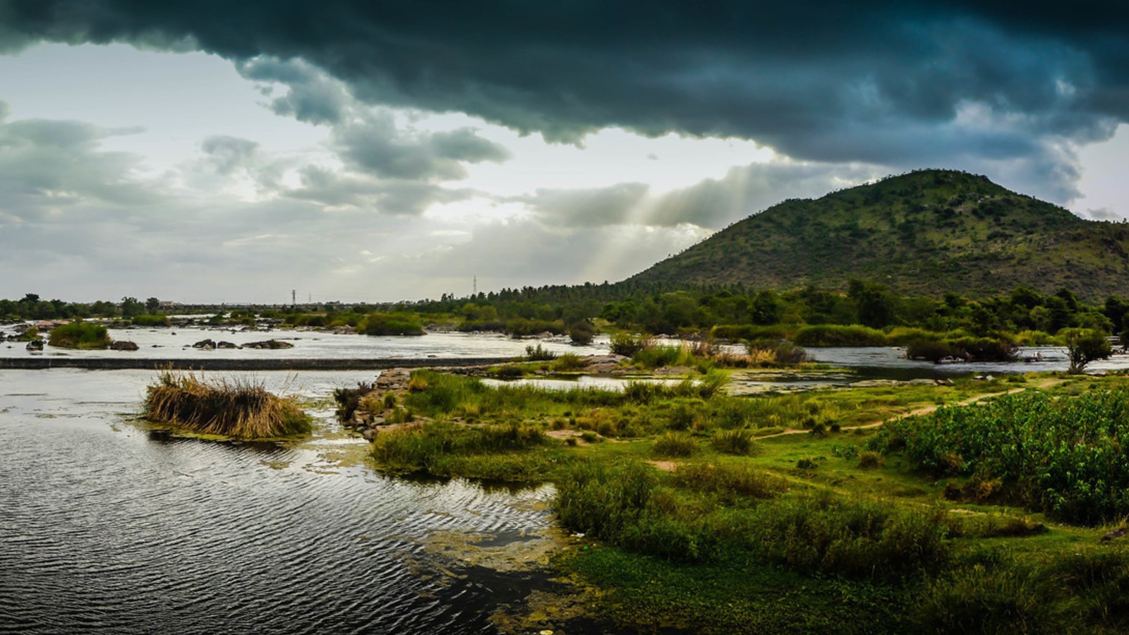 Isha Foundation | World Economic Forum