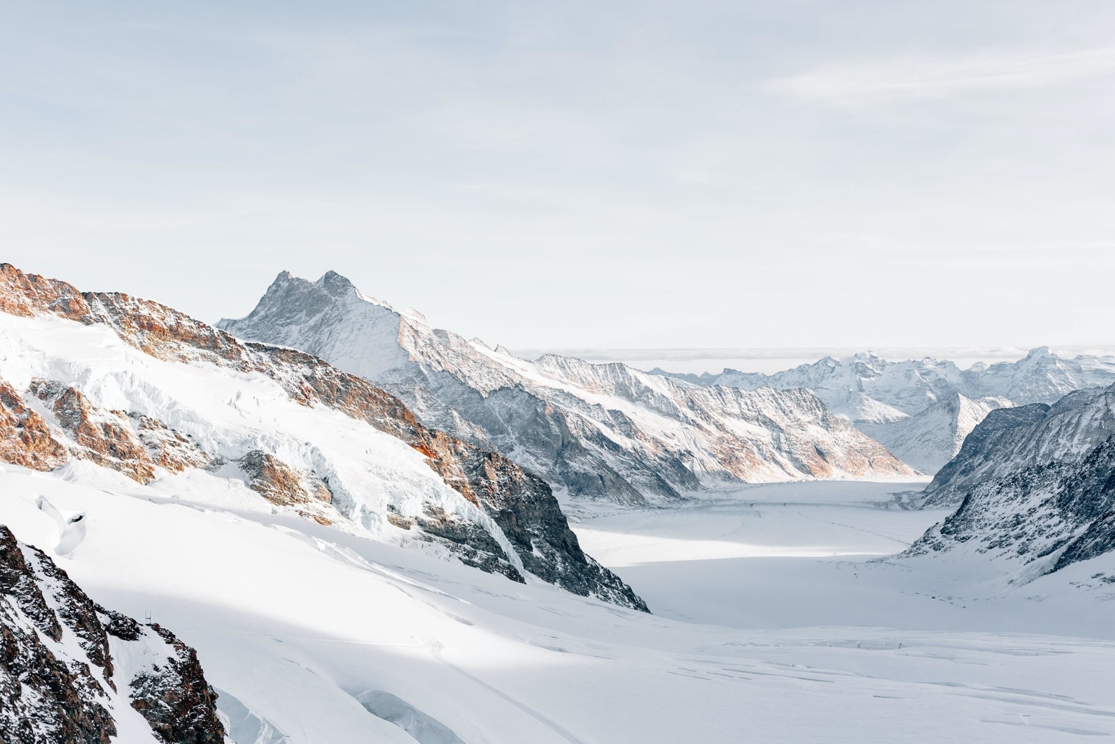 What is 'snow blood' and how is it linked to climate change? | World ...