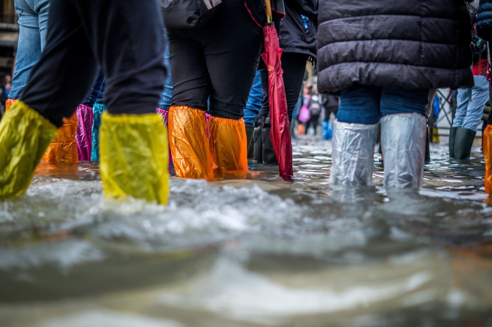 These 3 climate events will impact health the most by 2050 | World ...