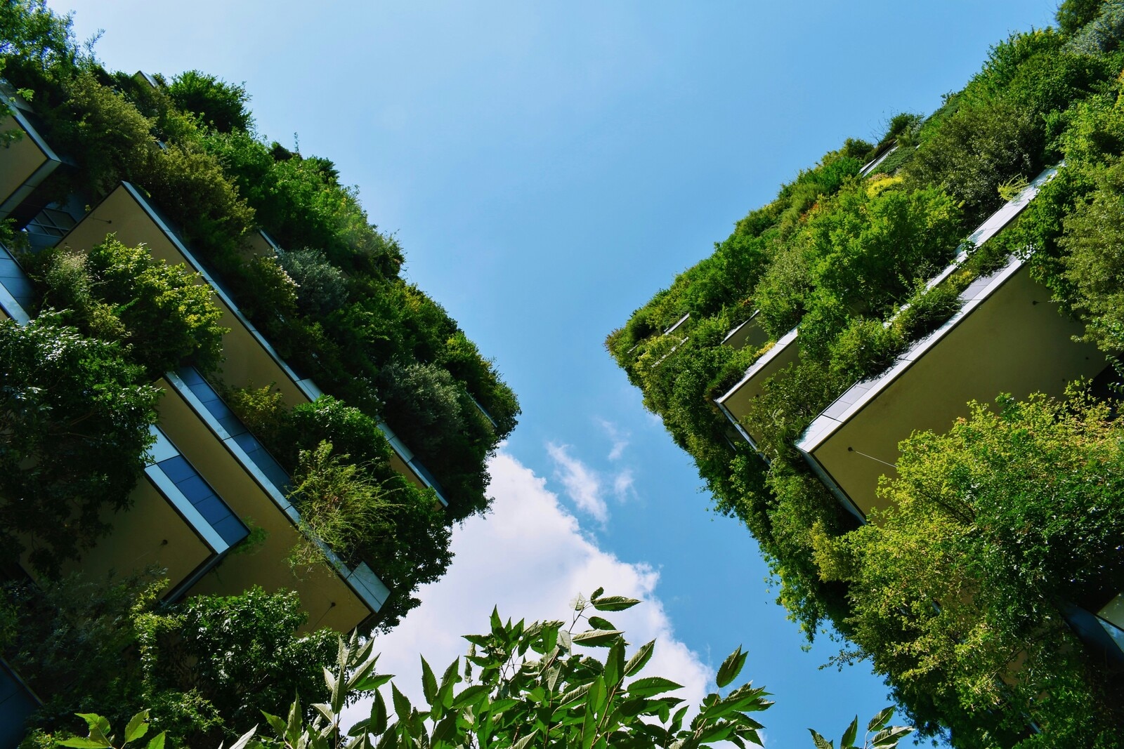 15 innovations that are bringing nature back into our cities | World ...