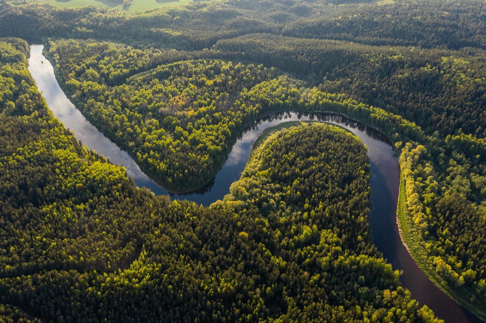 The world needs rainforests to stop climate change. Can we save them ...