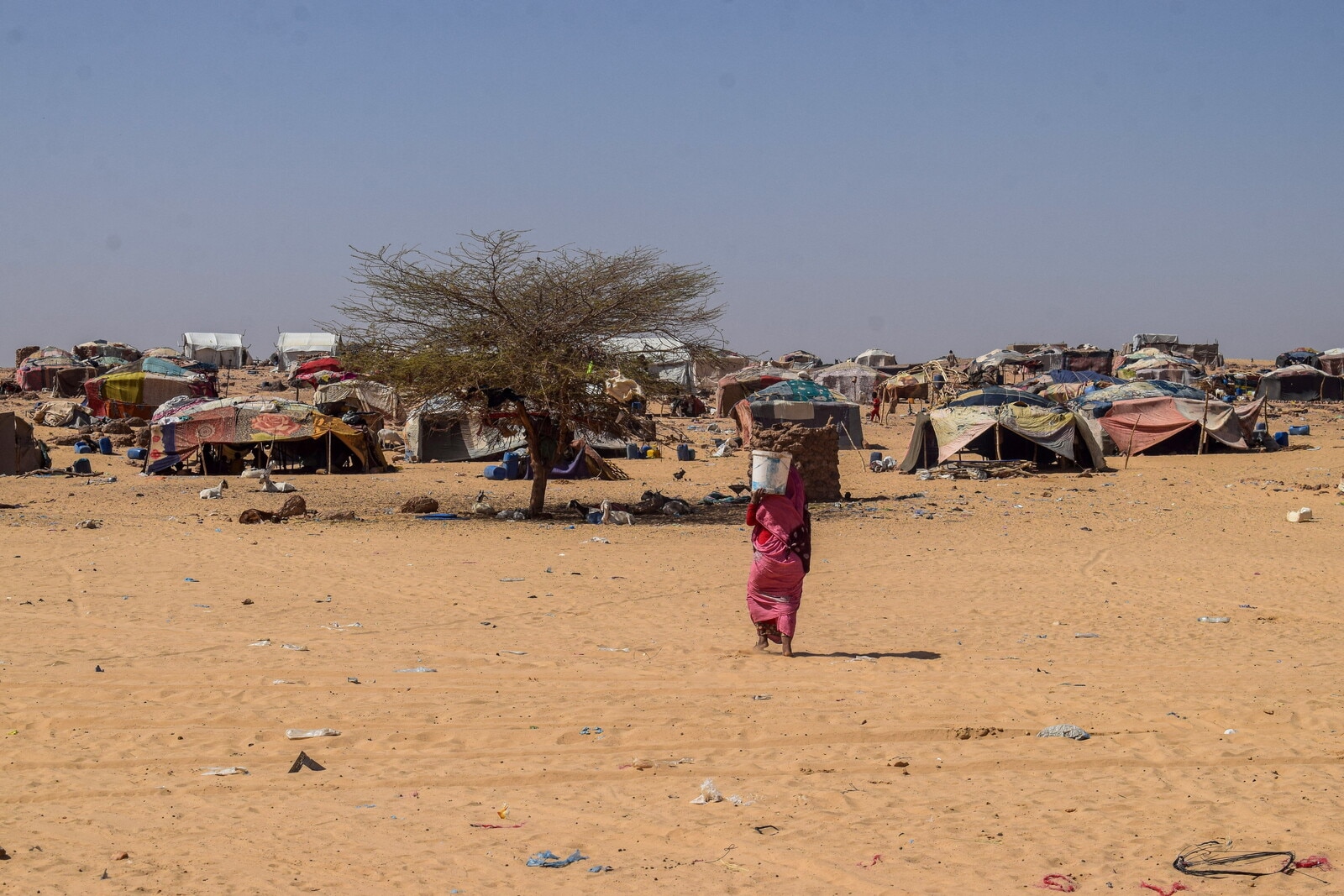 These maps show how illegal drugs flow around the globe | World ...