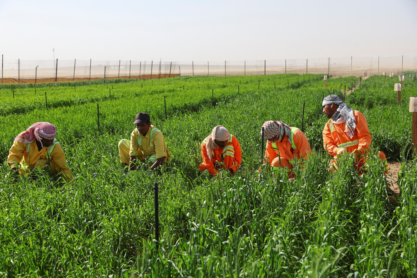 Bahrain Economic Development Board | World Economic Forum