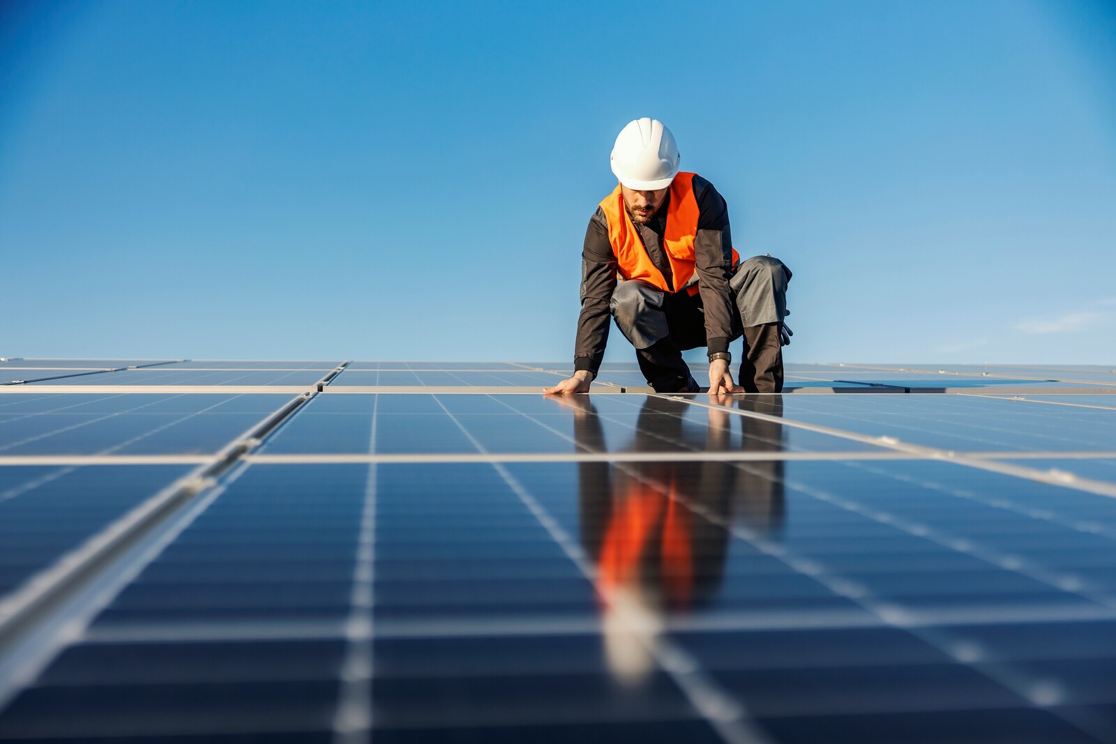 How to pay heed to the practical needs of the green transition | World ...