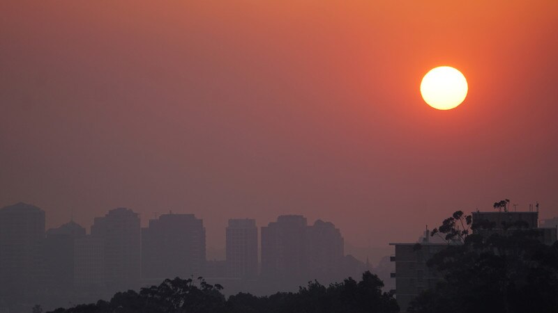 What are the negative effects of wildfires? | World Economic Forum