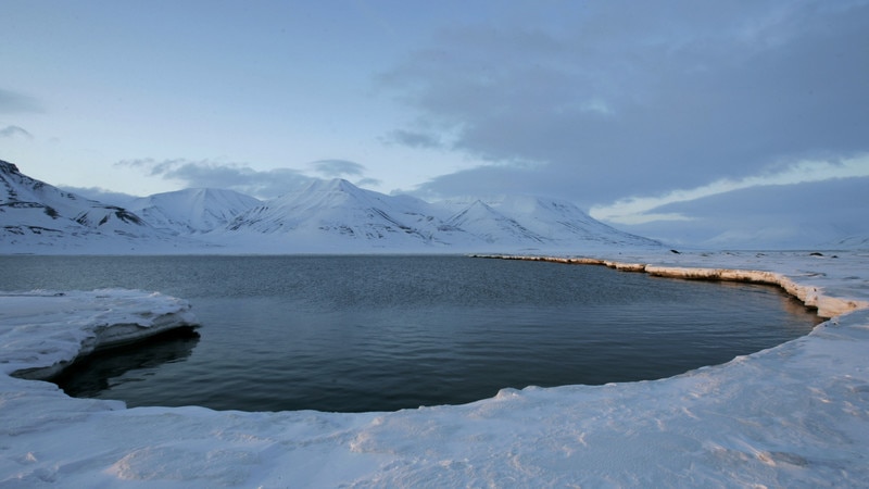 Are ‘carbon clubs’ the way to address climate change? | World Economic ...