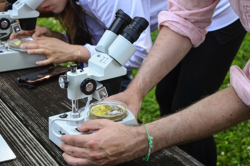 Why sharing data is important for progress in bioeconomy | World ...