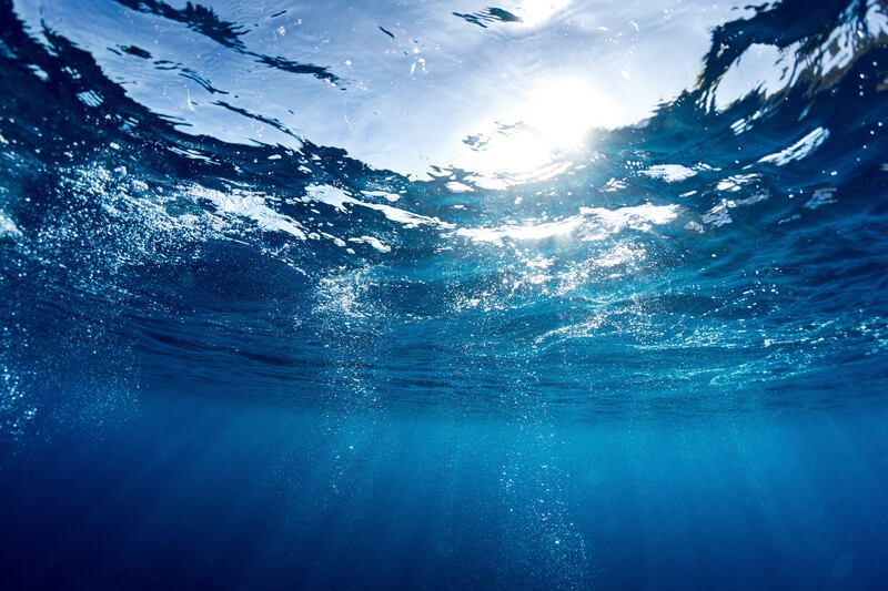 Three ways we can save the world’s oceans | World Economic Forum