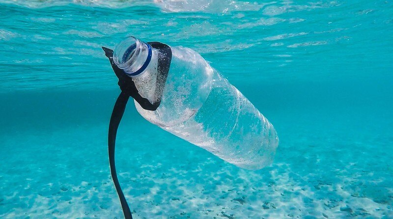 How can we reduce plastic pollution in the ocean? | World Economic Forum