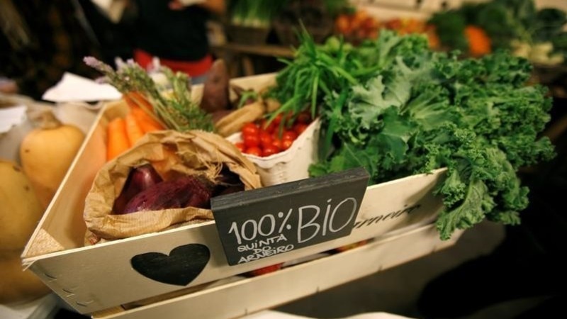 ¿Puede un mundo 100% orgánico producir suficiente alimento para toda la ...
