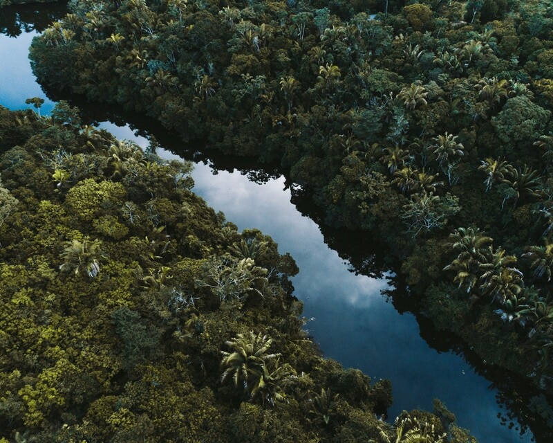 Why data is key for Brazilian restoration and reforestation | World ...