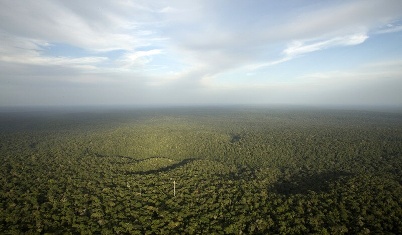 Soil, air and water: the key benefits we get from forests | World ...
