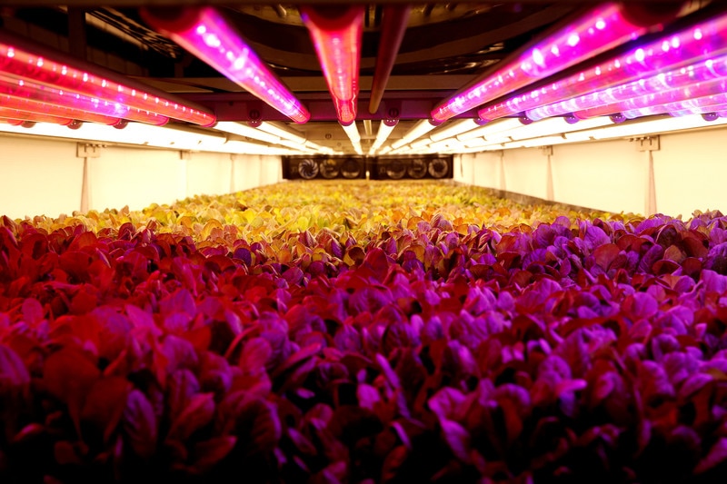 To boldly grow: how space agtech shapes farming on Earth | World ...