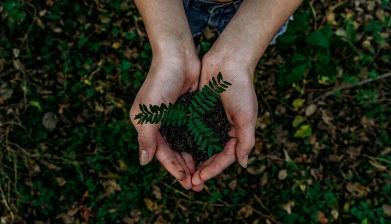 14 innovative projects helping to build a better world | World Economic ...