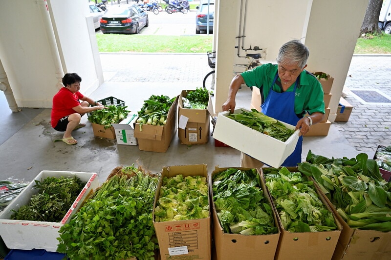 Why food waste is a $540 billion opportunity hiding in plain sight ...
