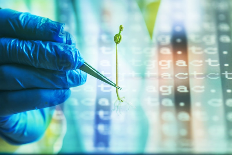 Biotechnology: From transforming healthcare to transforming our planet ...