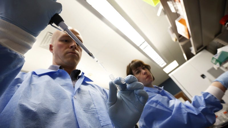 What happens when quantum physics meets genetic engineering? | World ...