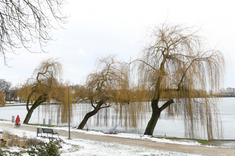 Top climate change and environment news stories this week | World ...