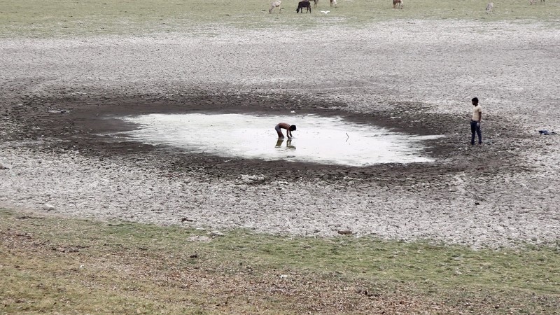 How does climate change affect migration? | World Economic Forum