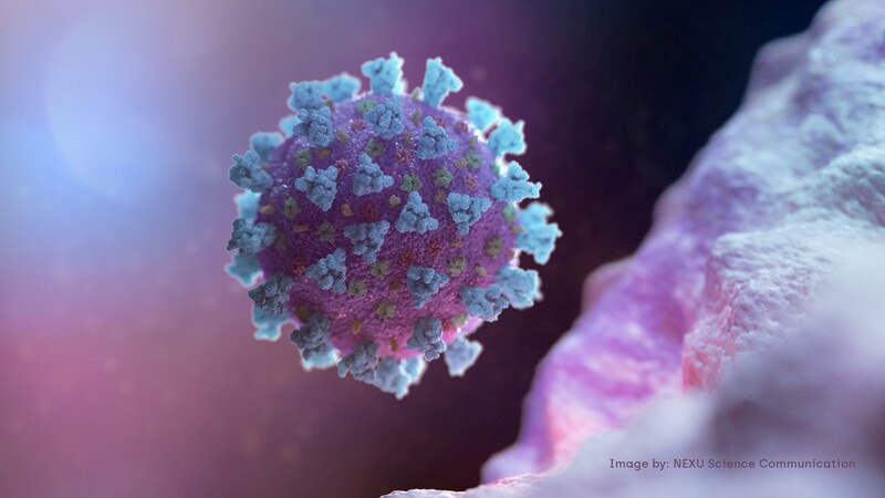 COVID-19: Top science stories of the week, from a life-saving drug to ...