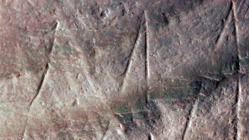 Why these scratch marks may change human history | World Economic Forum