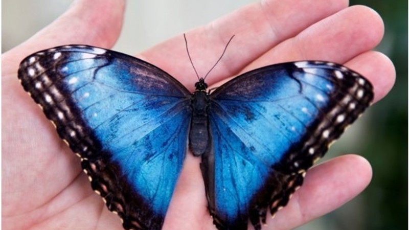 Small is beautiful: Materials by design | World Economic Forum