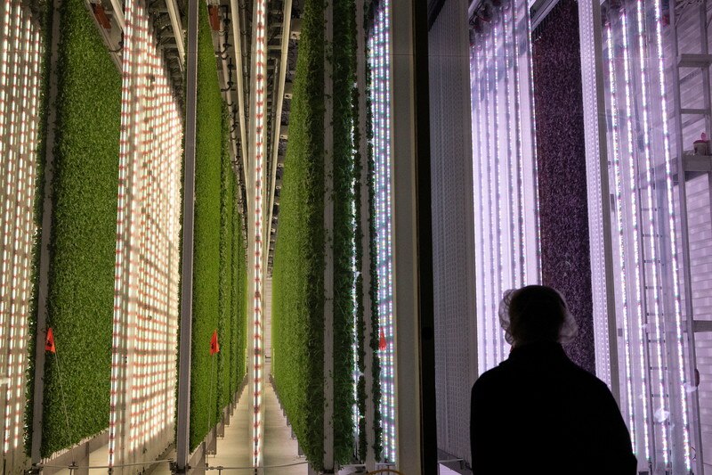 How vertical farms could boost food production in India | World ...