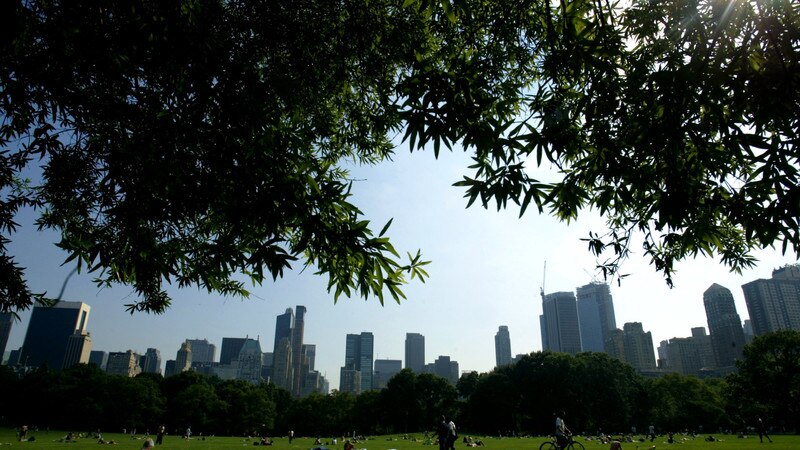 How can we build the green cities of tomorrow? | World Economic Forum