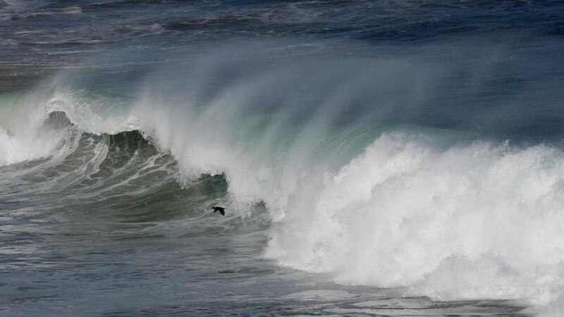 Carissa Klein - Agenda Contributor | World Economic Forum