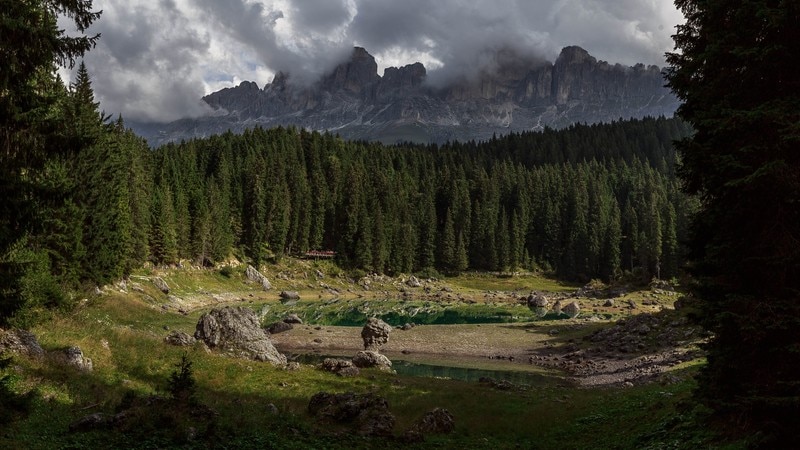 Why protected forests are critical to reaching climate goals | World ...