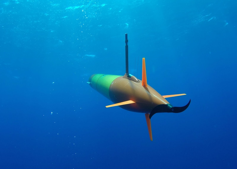 11 innovations to better understand the ocean through data | World ...