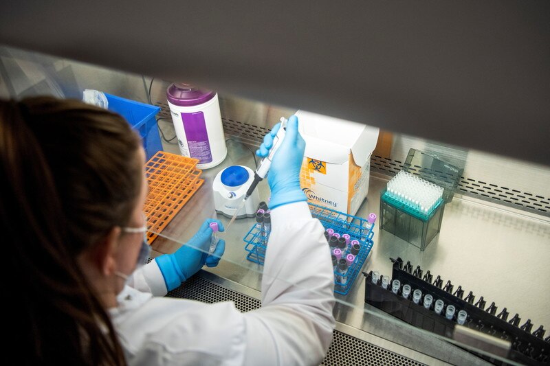 Global cooperation is crucial for pathogen detection | World Economic Forum